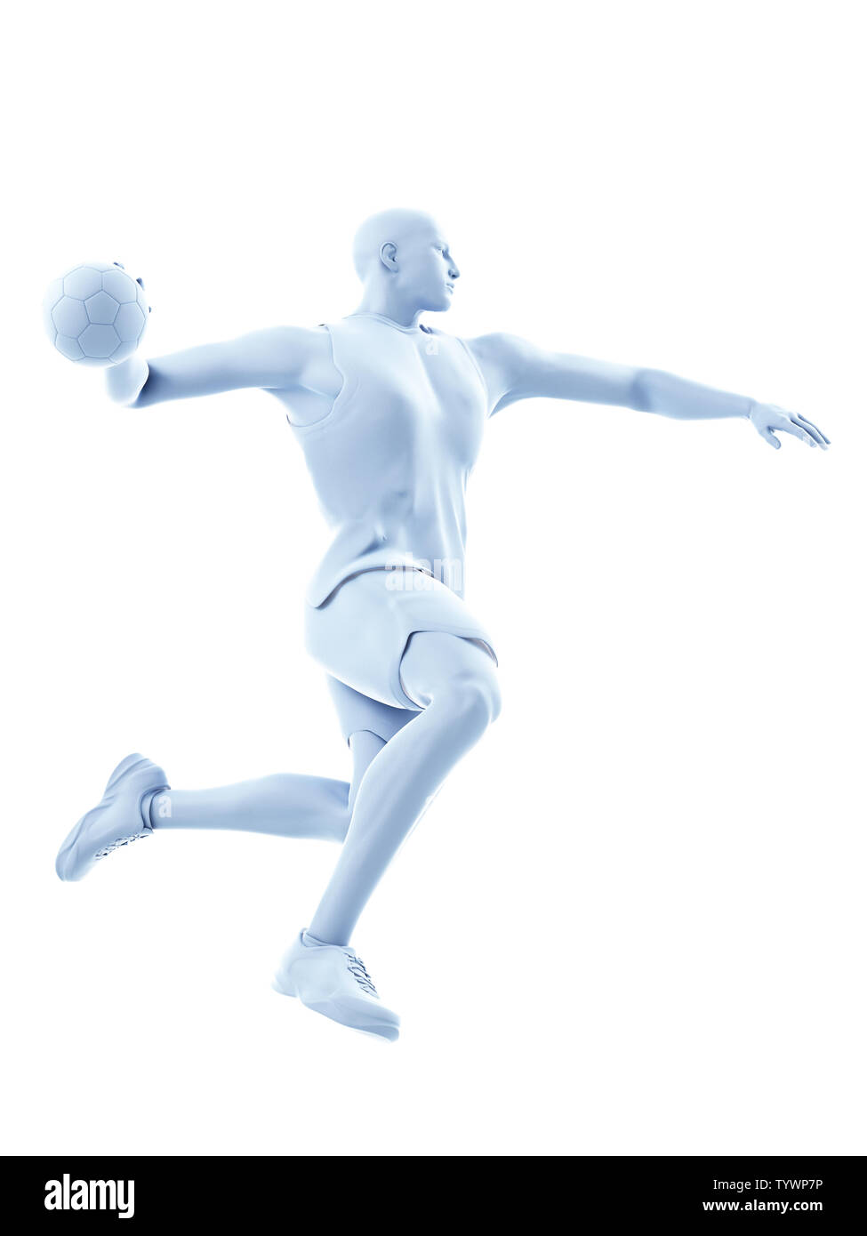 Anatomy of handball player hi-res stock photography and images - Alamy