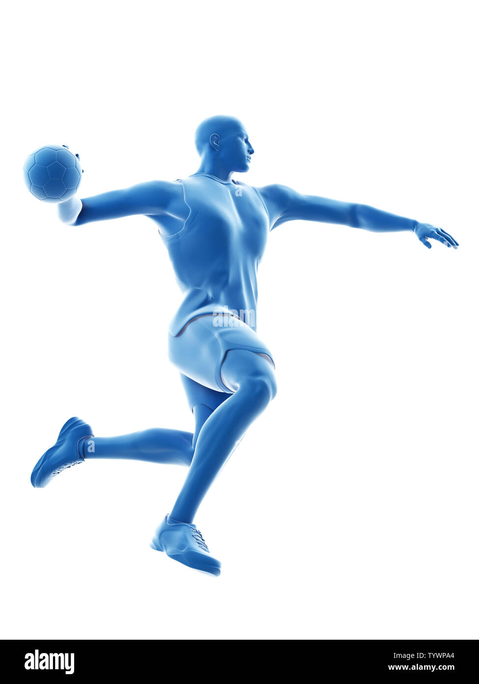Anatomy of handball player hi-res stock photography and images - Alamy