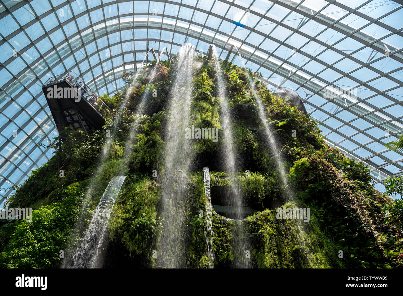 Rain tree singapore botanic gardens hi-res stock photography and images ...