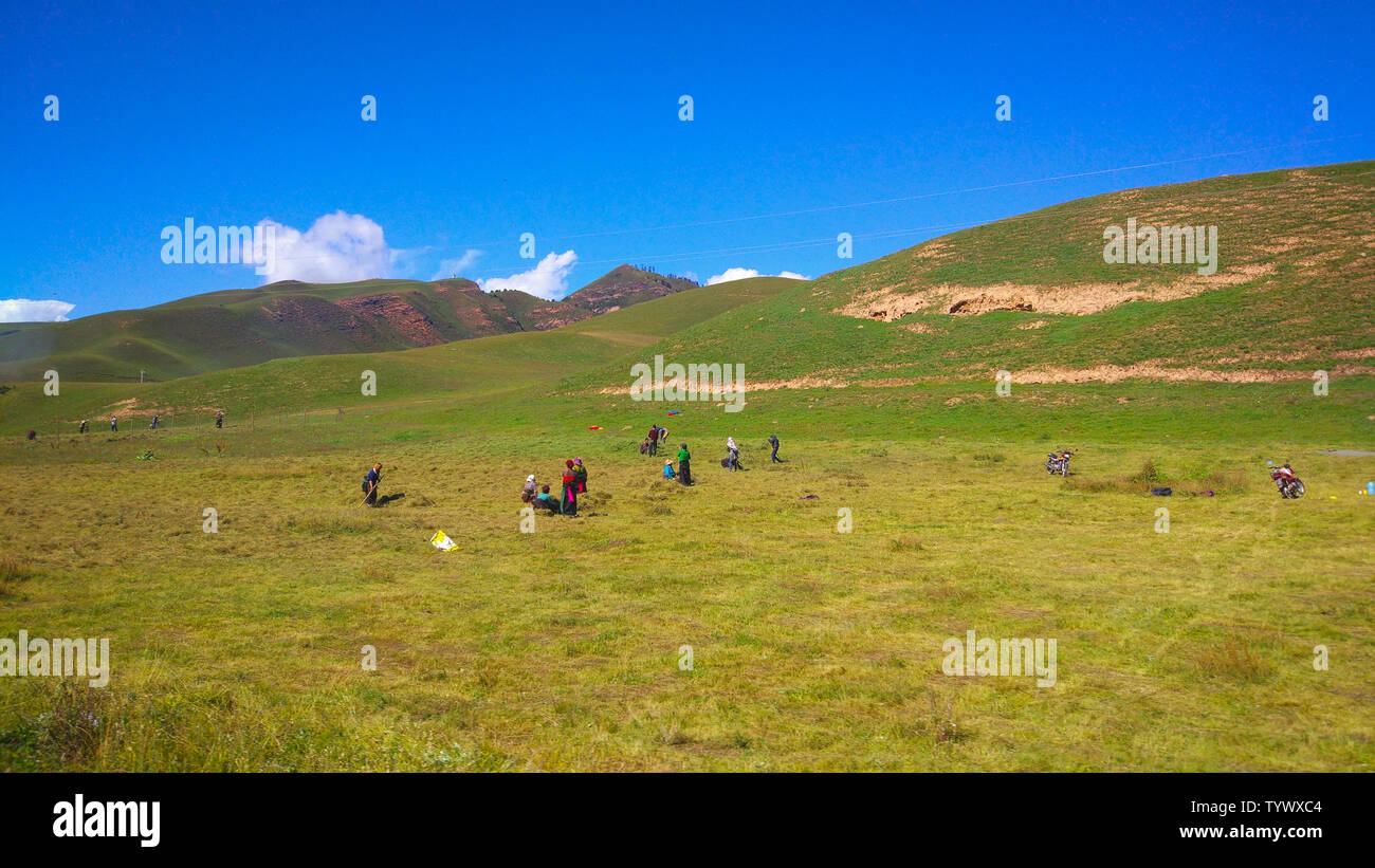 Scenery of China's Tibetan Plateau Stock Photo - Alamy