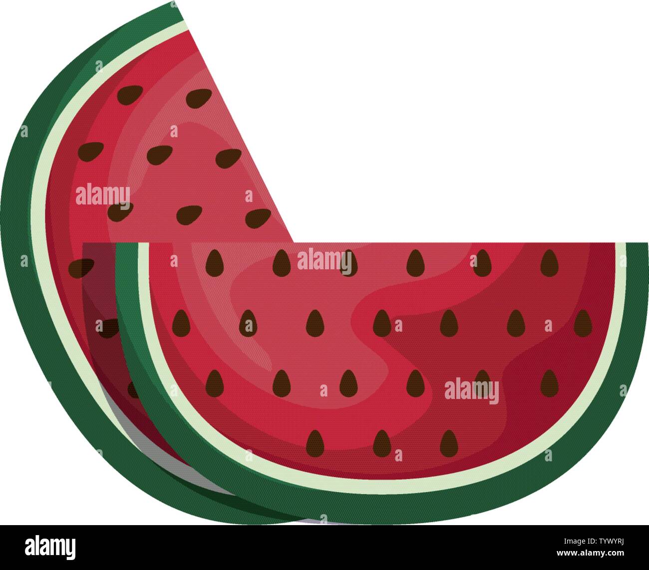 fresh slices of watermelons fruits vector illustration design Stock ...
