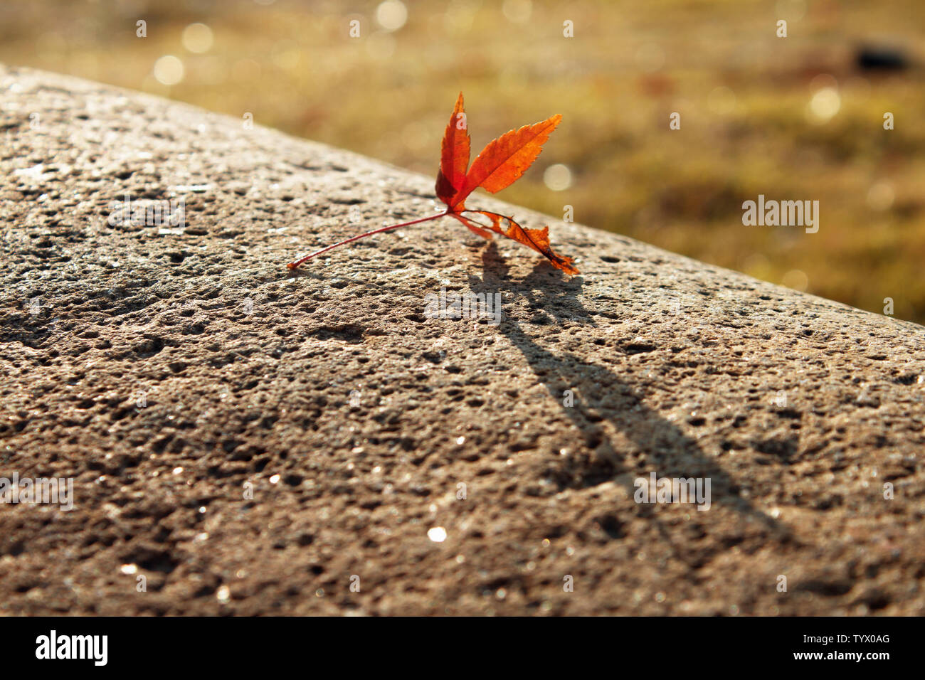 Reverse illumination hi-res stock photography and images - Alamy