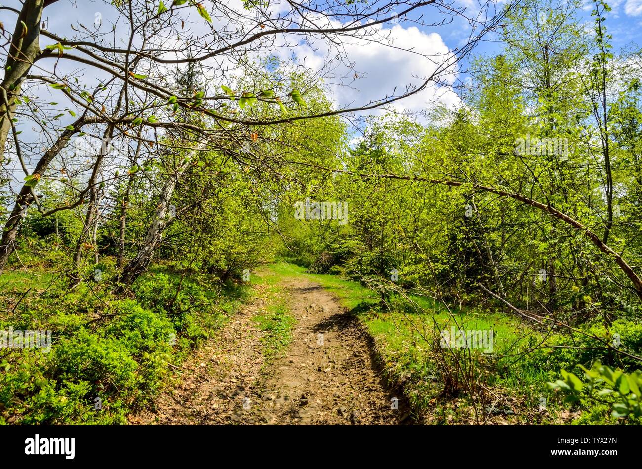 The most beautiful spring scenery hi-res stock photography and images ...