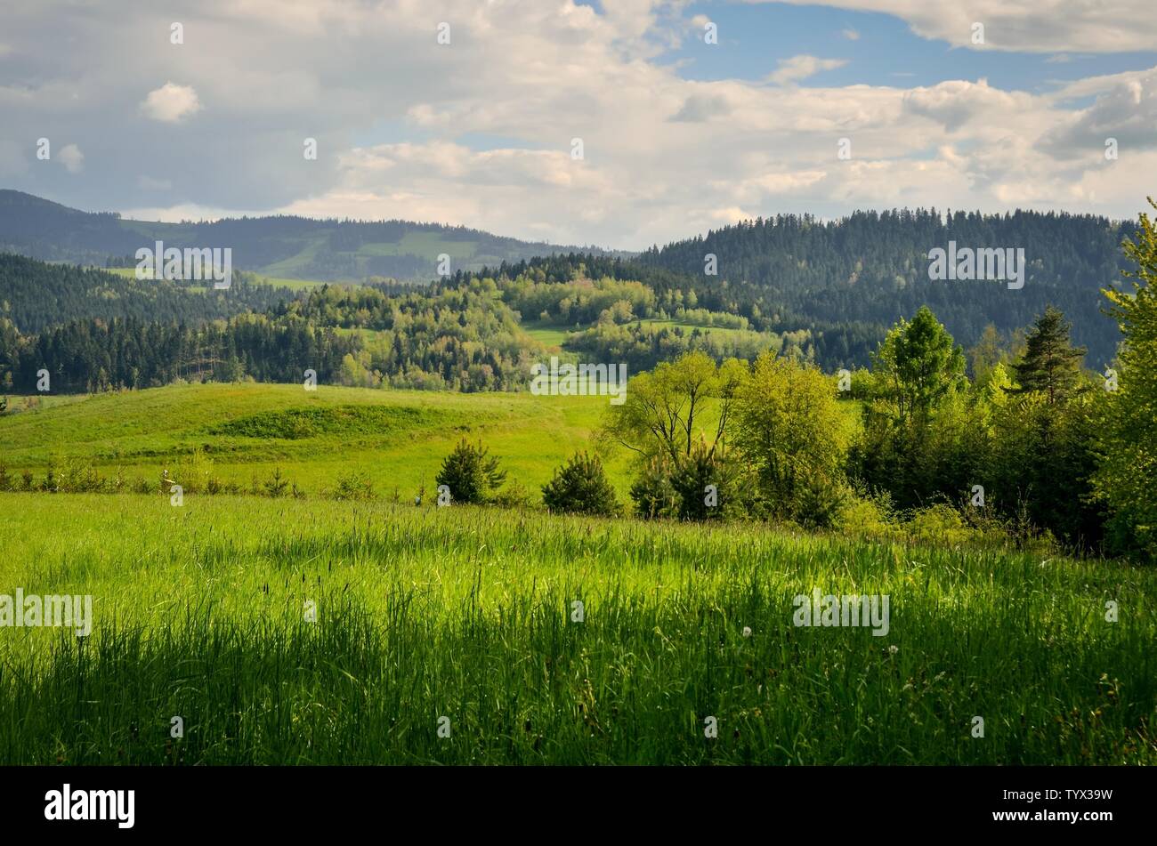 Beautiful spring mountain landscape. Charming views of the hills with ...