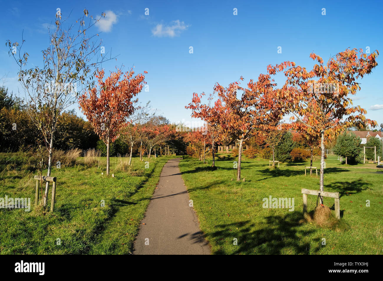 Snowdon hill chard hi-res stock photography and images - Alamy