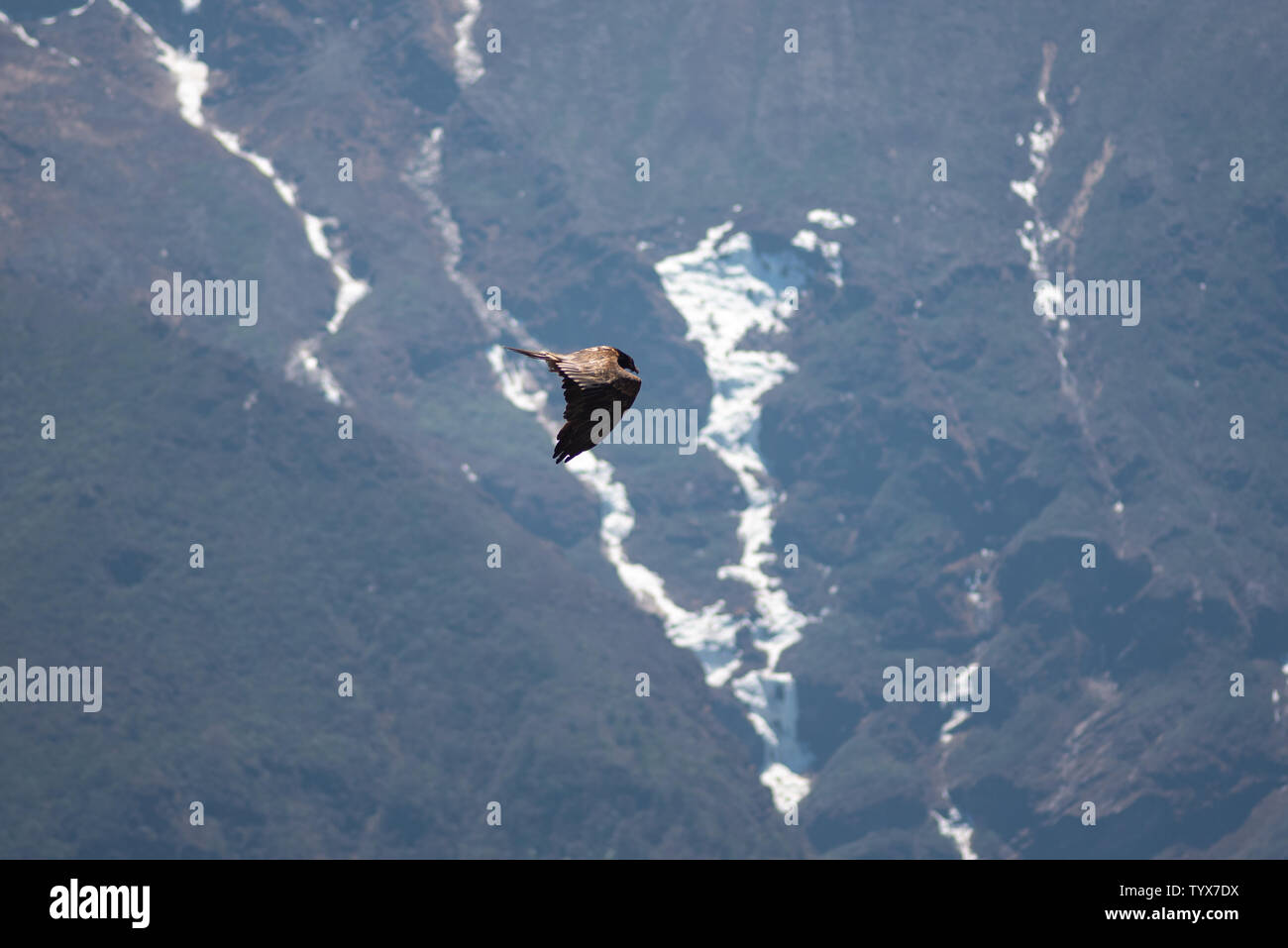 Flying above himalayas hi-res stock photography and images - Alamy