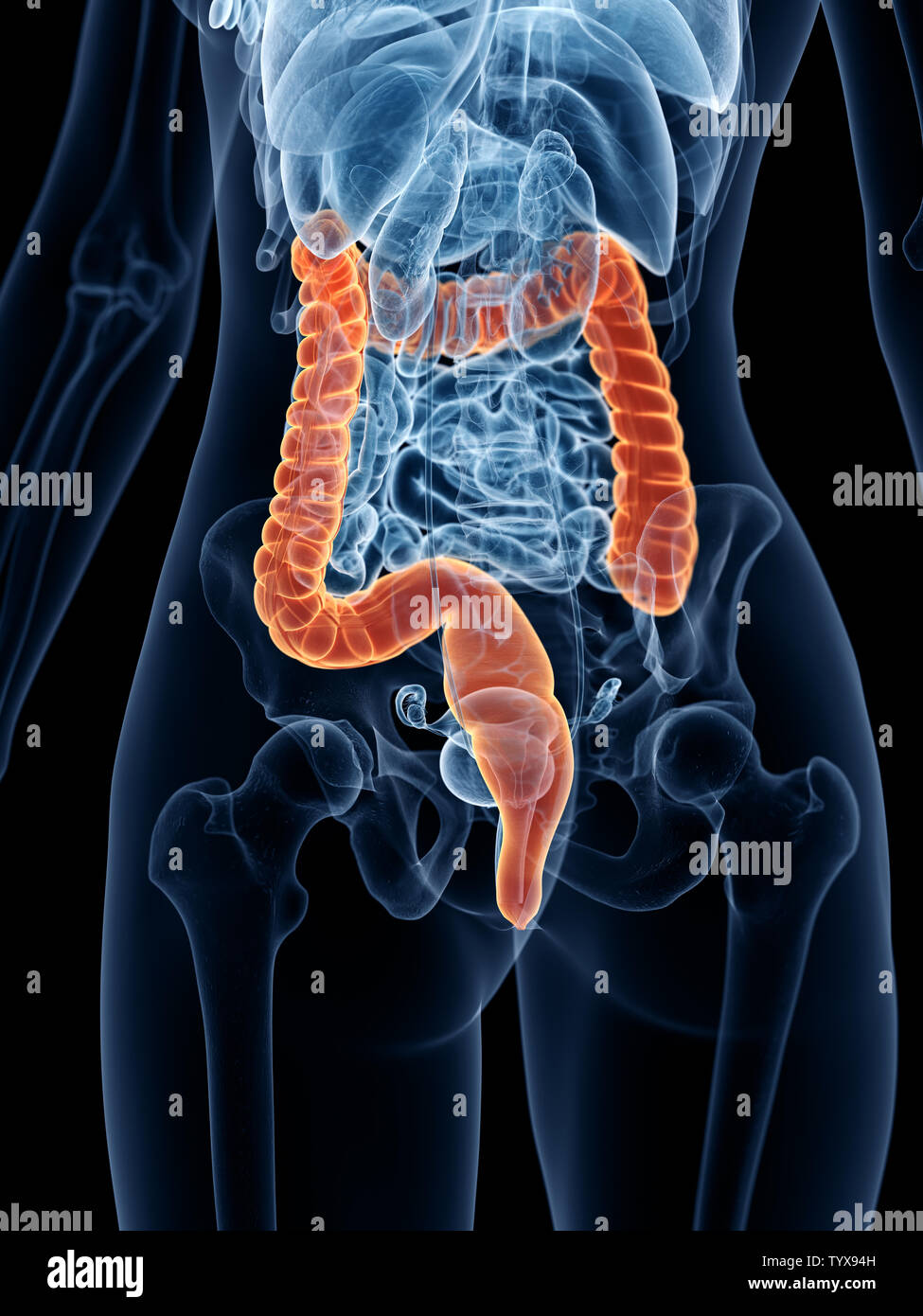 Woman Colitis High Resolution Stock Photography and Images - Alamy