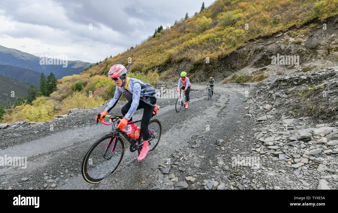 Road cycling race photos Stock Photo - Alamy