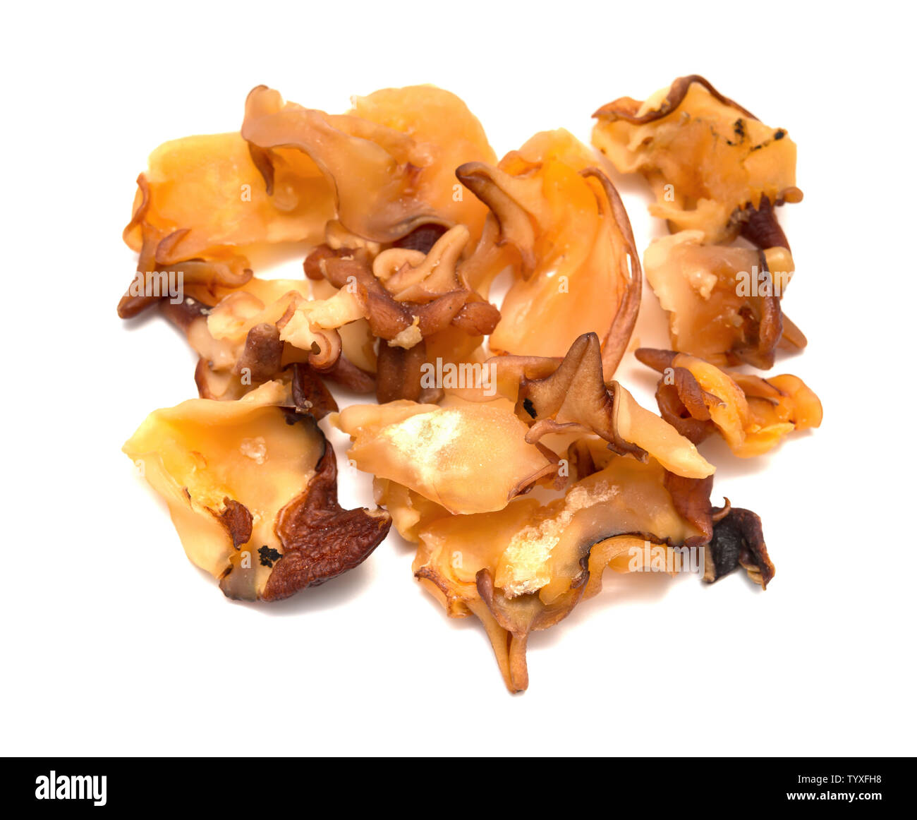 top view dry conch meat on a white background Stock Photo - Alamy