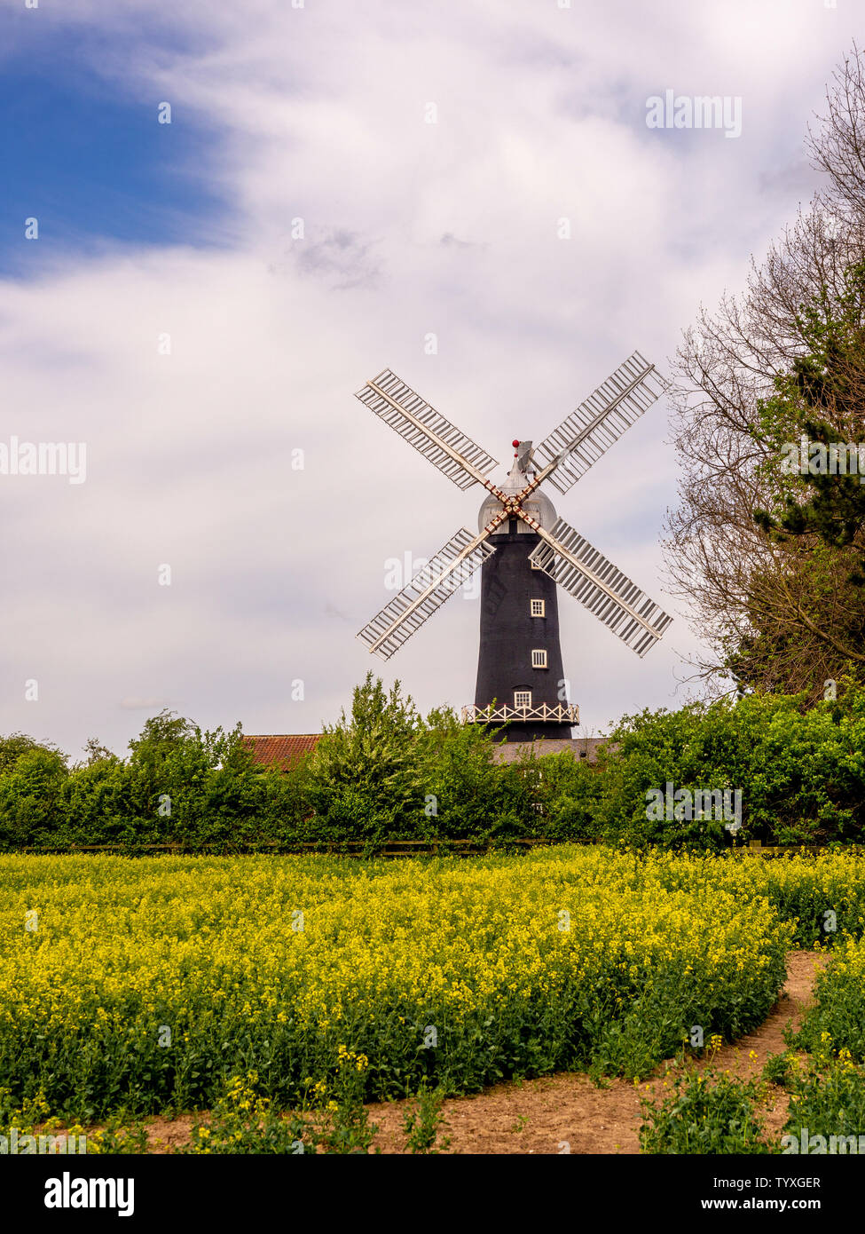 Skidby Windmill, East Yorkshire, UK Stock Photo - Alamy