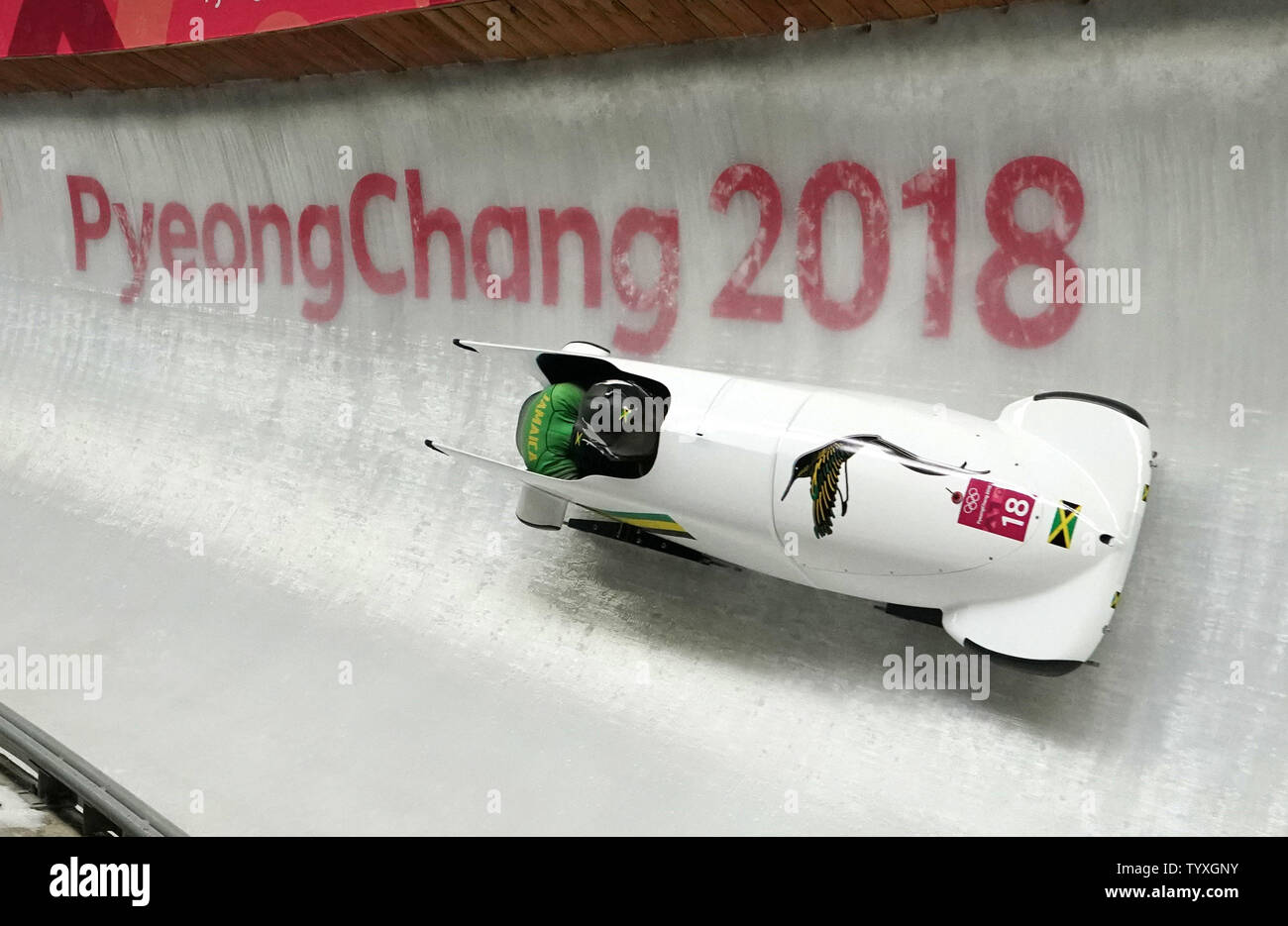 Olympic Bobsled