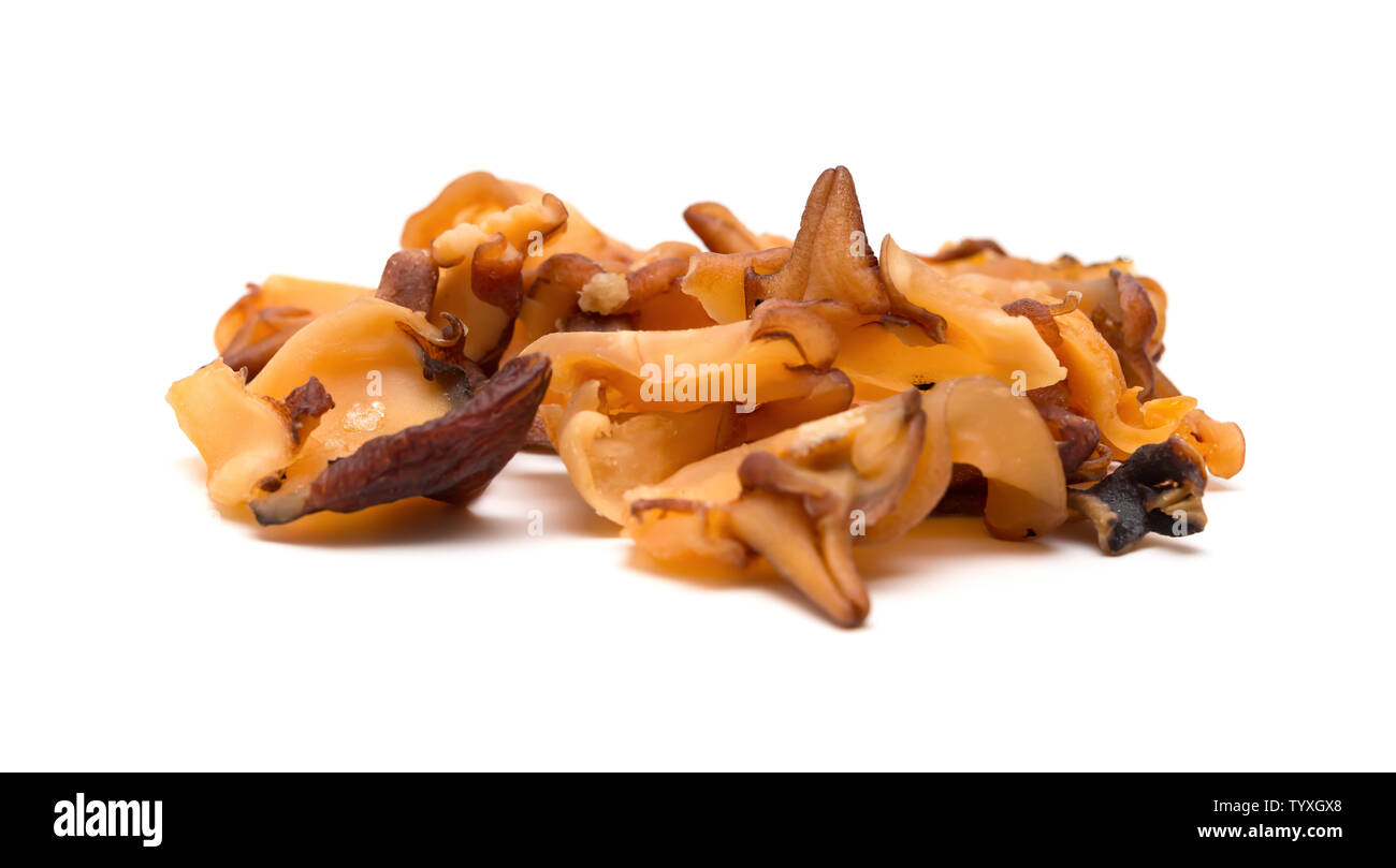 side view dry conch meat on a white background Stock Photo - Alamy