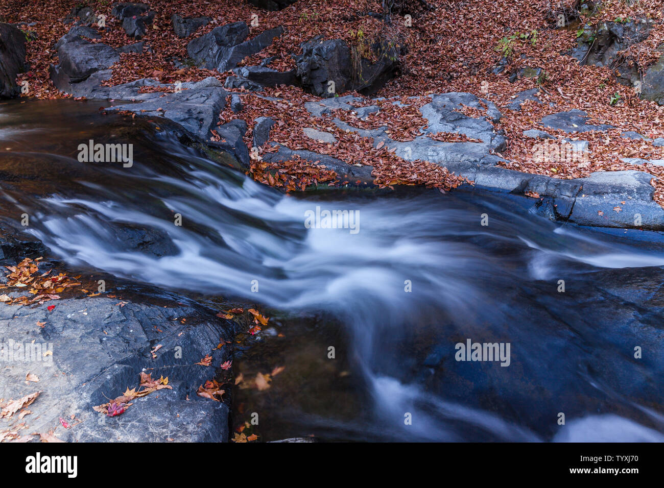 Red Leaf Scenery in Autumn Valley, Dandong Pushi River Park, Liaoning ...