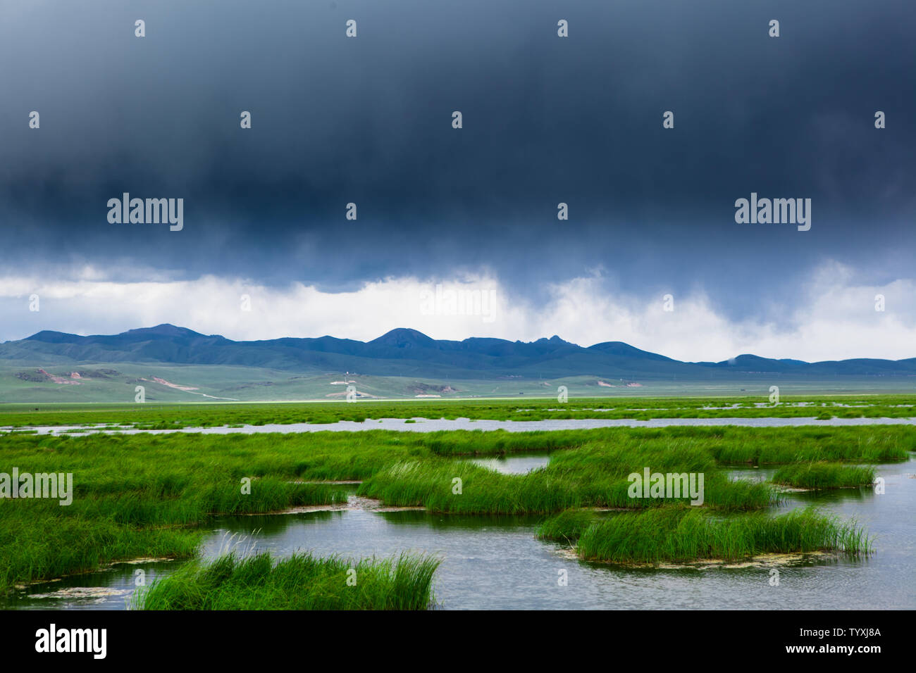 Huahu lake hi-res stock photography and images - Alamy