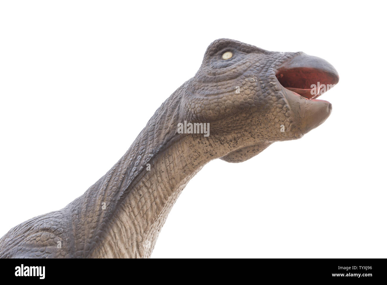 dinosaur head in outdoor in a day time Stock Photo - Alamy