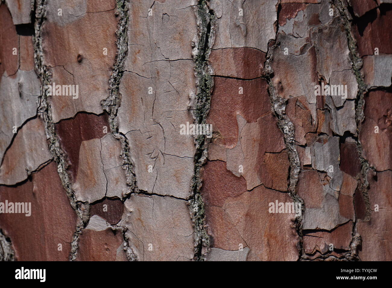Sulfur texture hi-res stock photography and images - Alamy