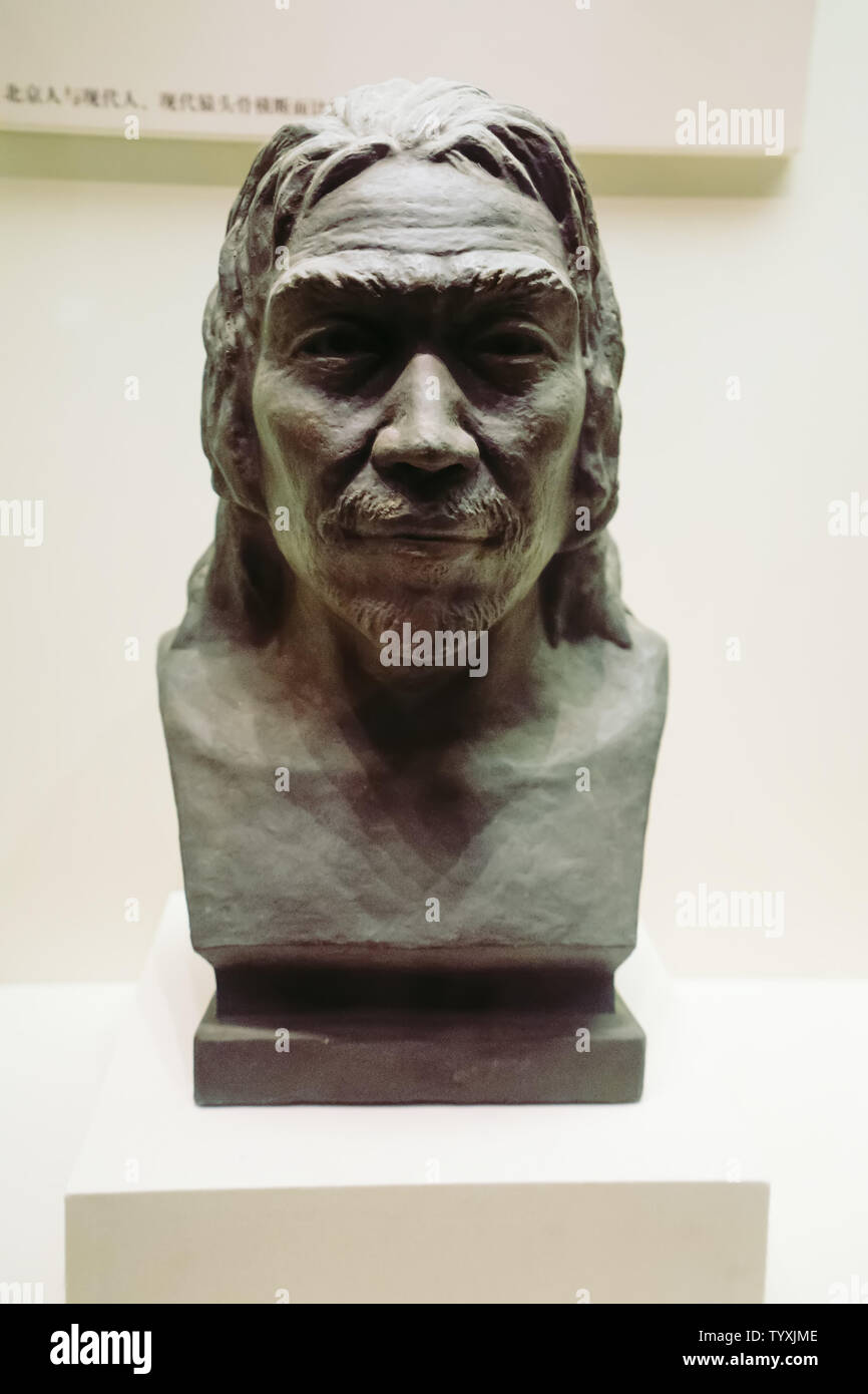 National Museum: Peak Cave Man Restoration Picture Stock Photo - Alamy
