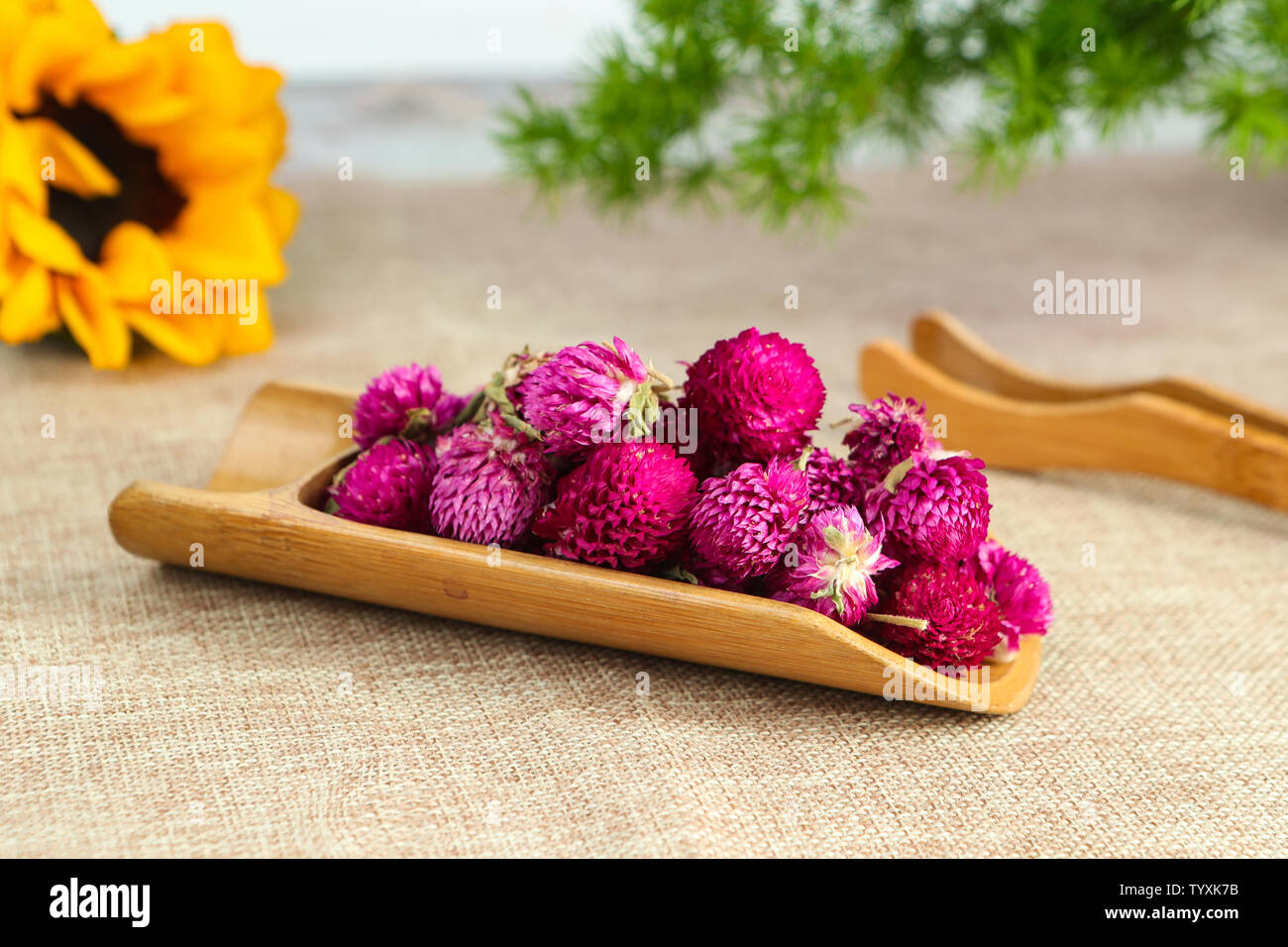 Thousand-day red flower tea Stock Photo - Alamy