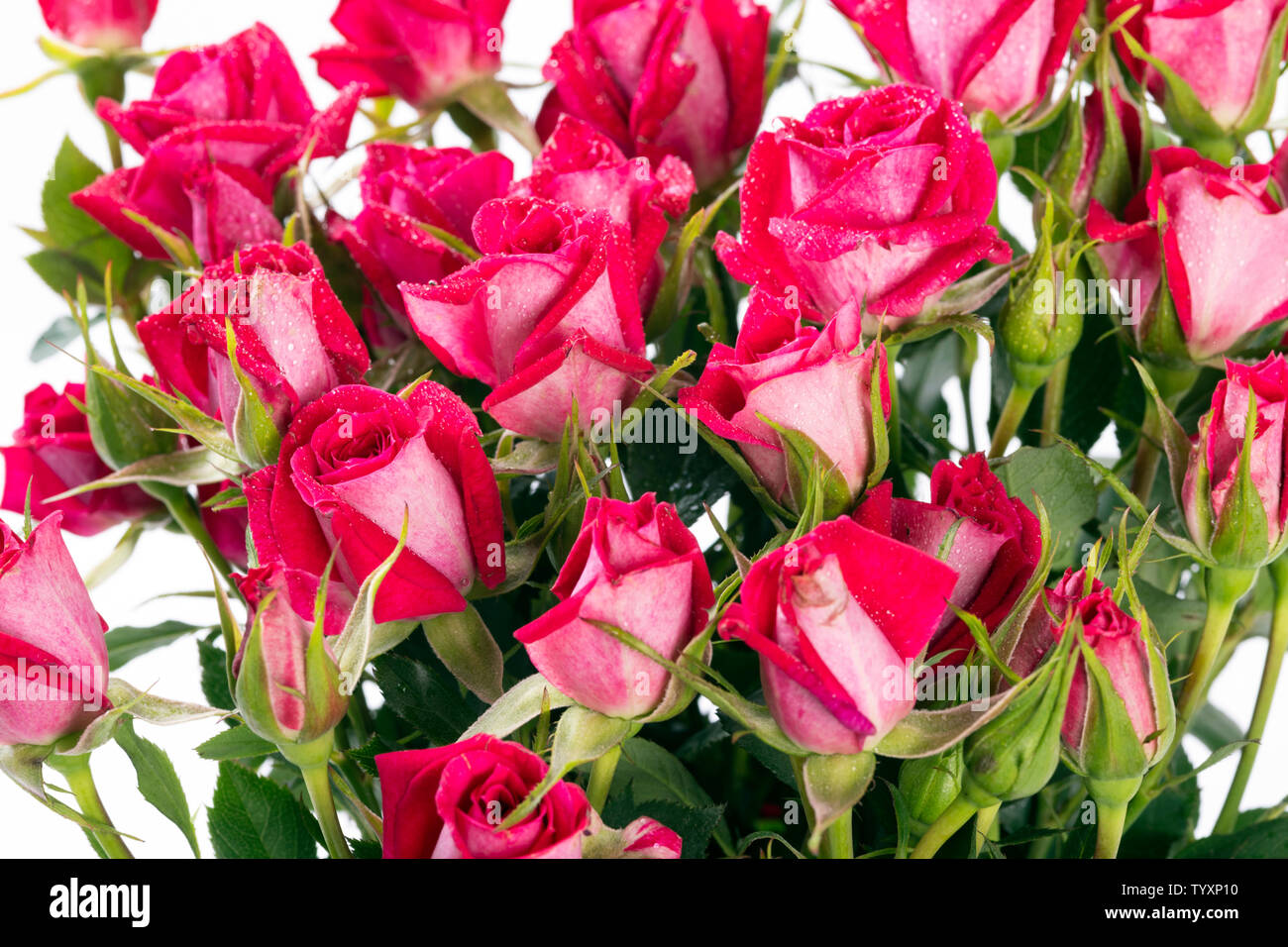 Moon headed hi-res stock photography and images - Alamy