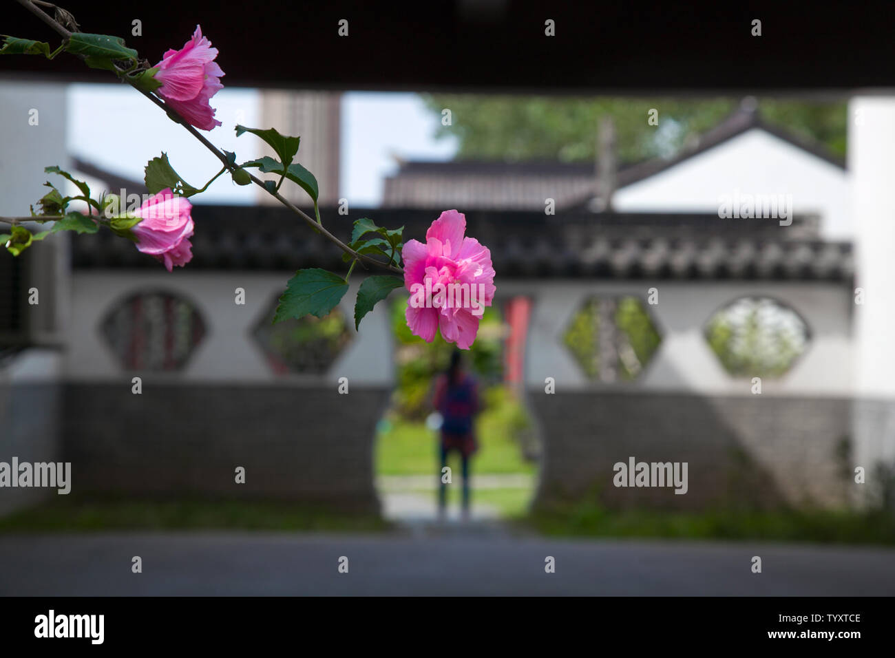 Jinling college of nanjing university hi-res stock photography and ...