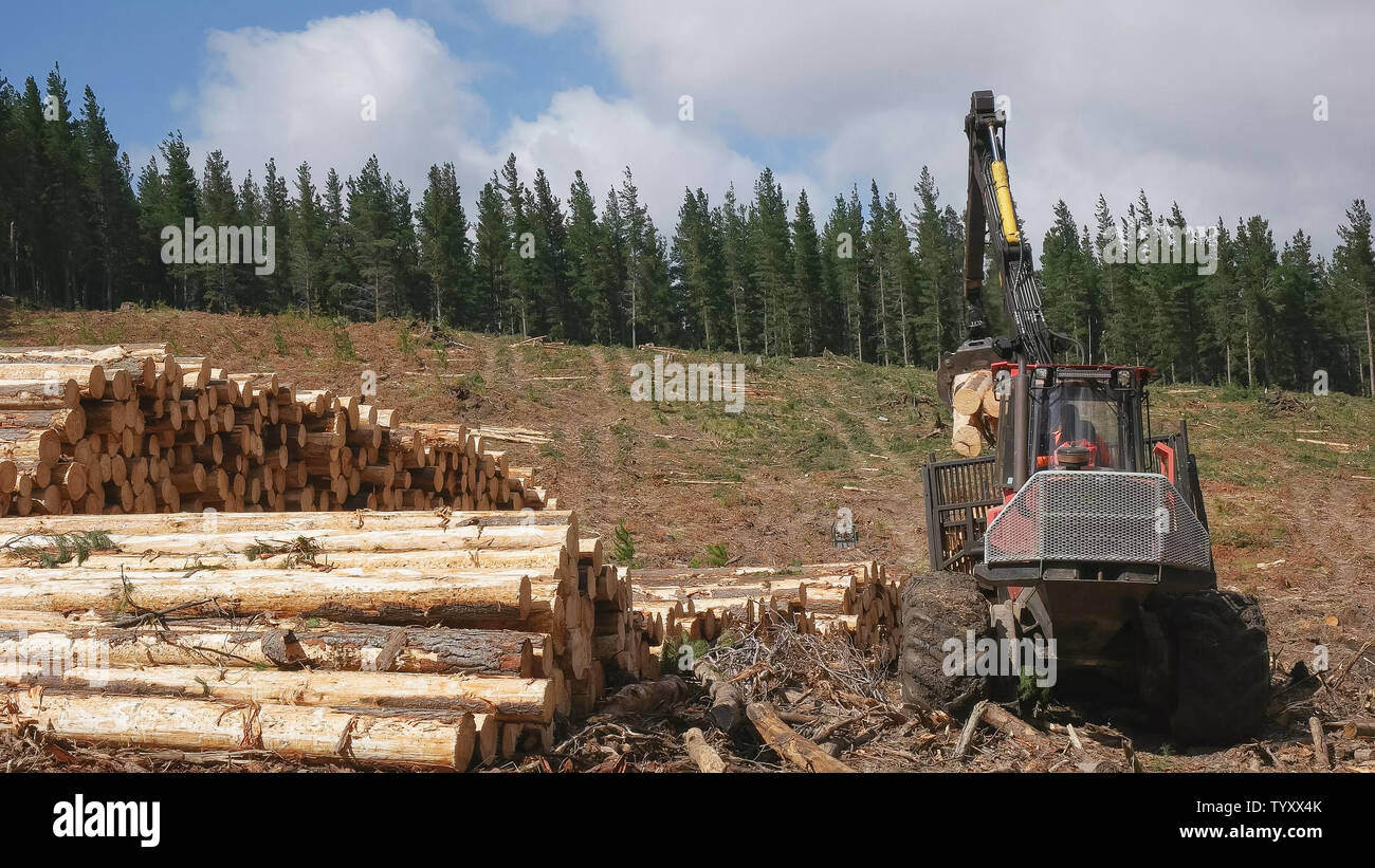 Unloading log truck hi-res stock photography and images - Alamy
