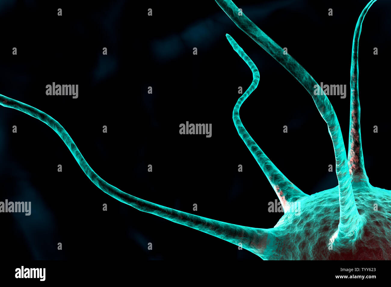 Brain cell art hi-res stock photography and images - Alamy