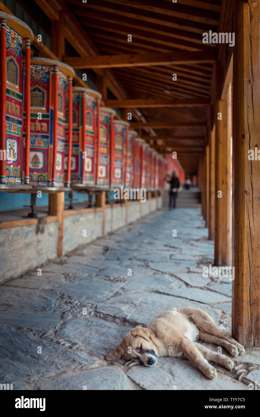 Labrang temple hi-res stock photography and images - Alamy