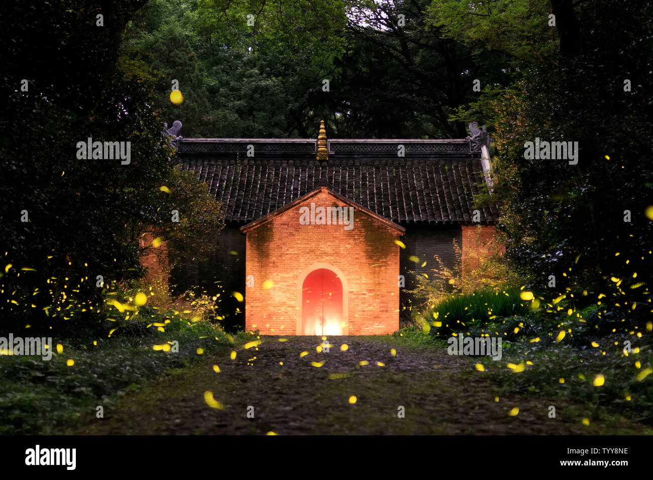 fireflies of the valley temple Stock Photo - Alamy