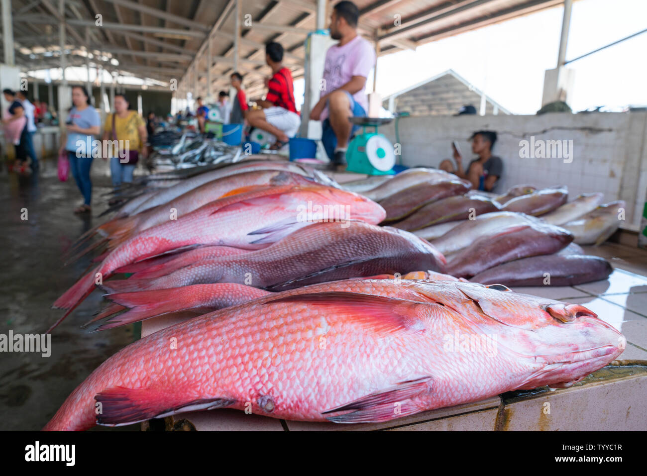 KOTA KINABALU BORNEO - MAY 31 2019; Workers, vendors and fresh seafood ...