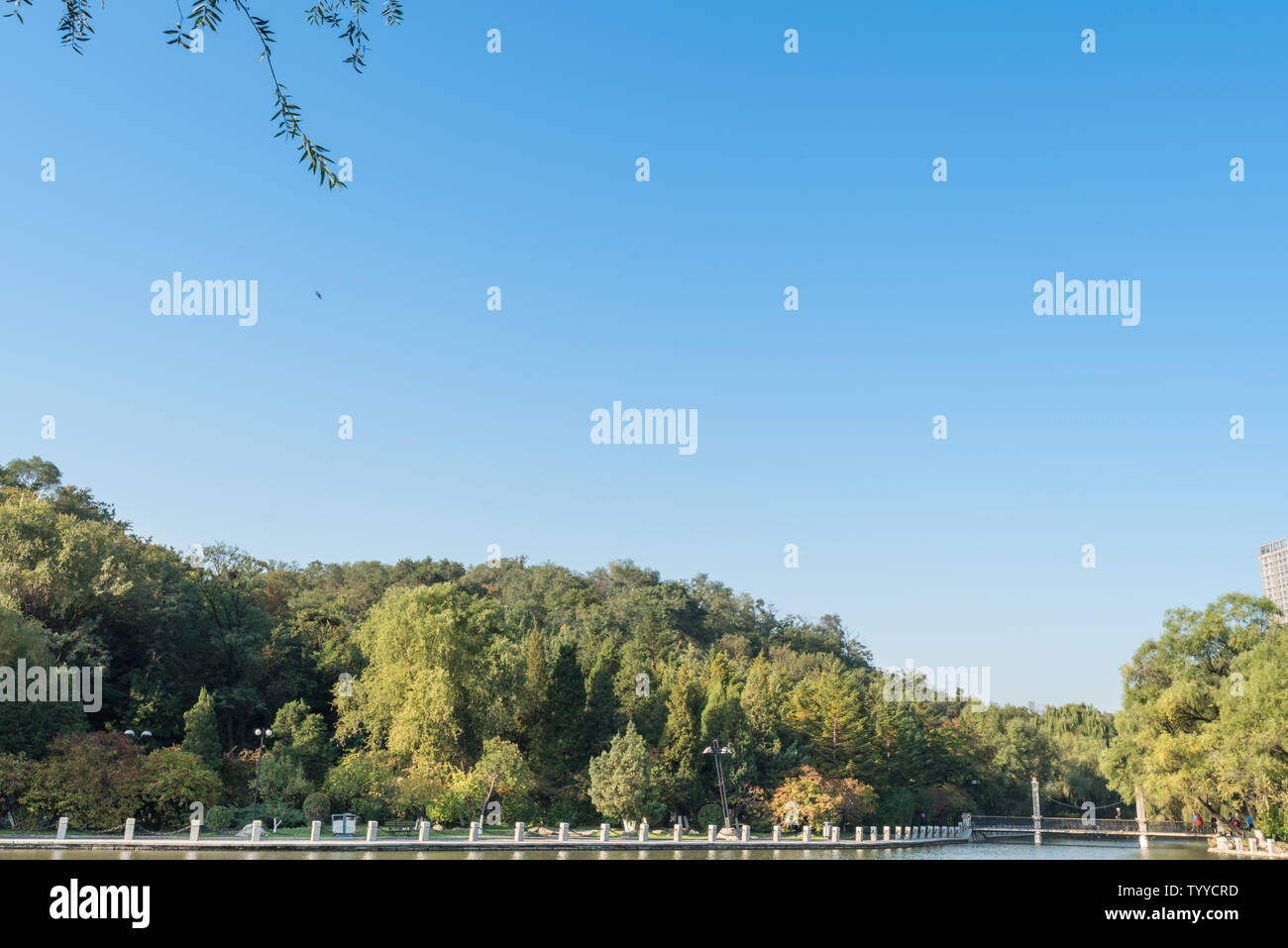 Cruise ship antiques hi-res stock photography and images - Alamy