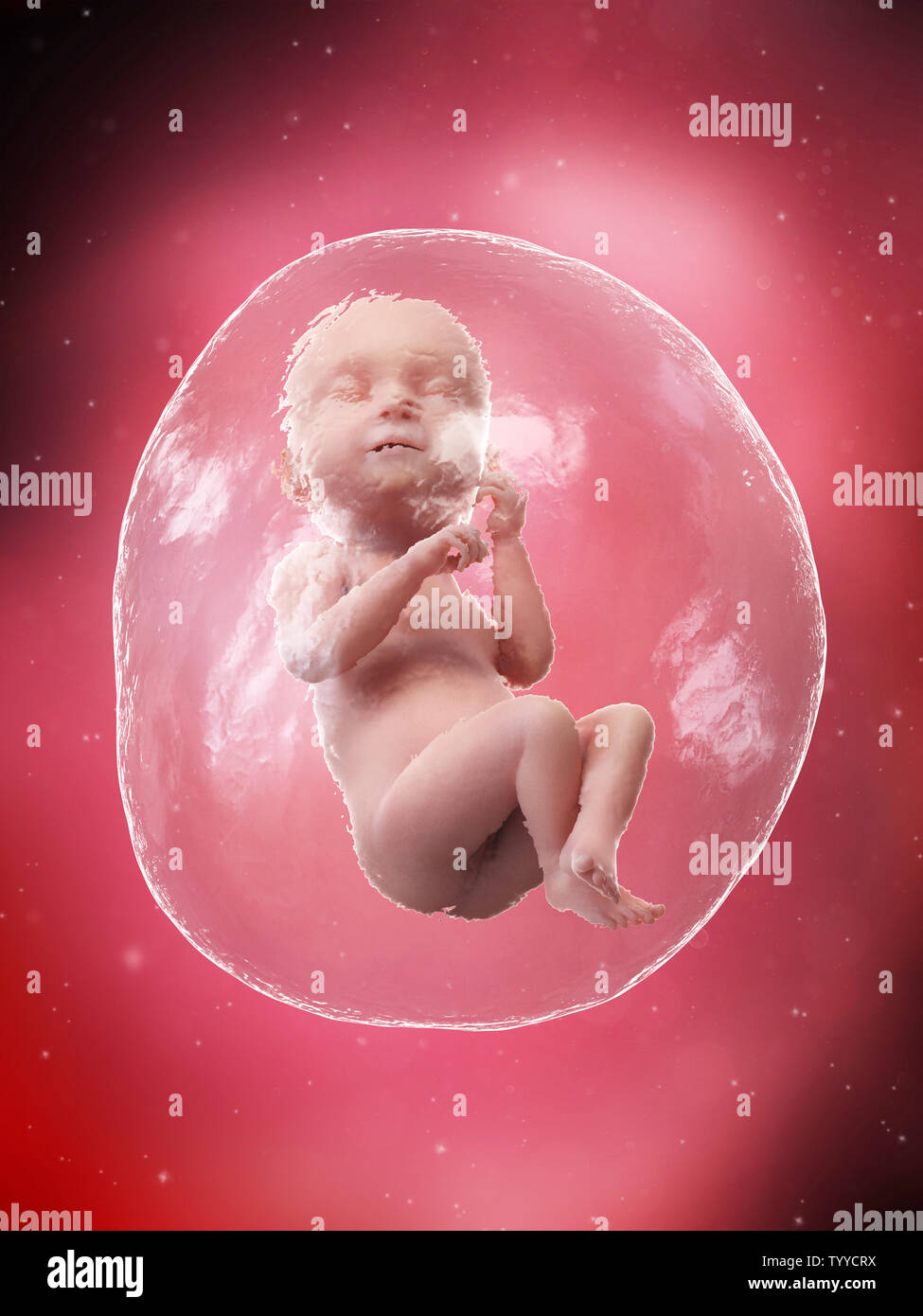 Pregnant illustration week 38 hi-res stock photography and images - Alamy