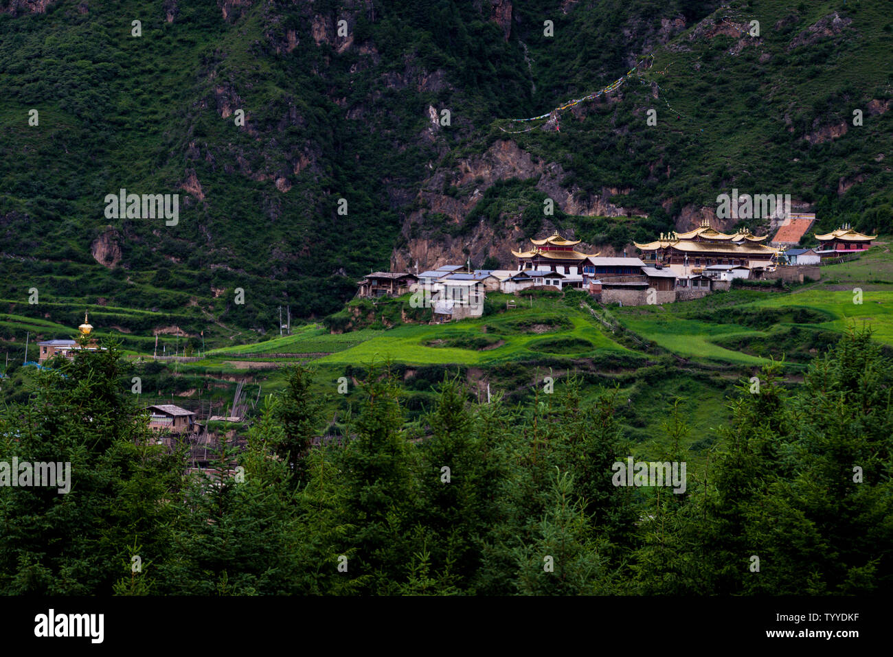 Scenery of Zagana, Gannan Stock Photo - Alamy