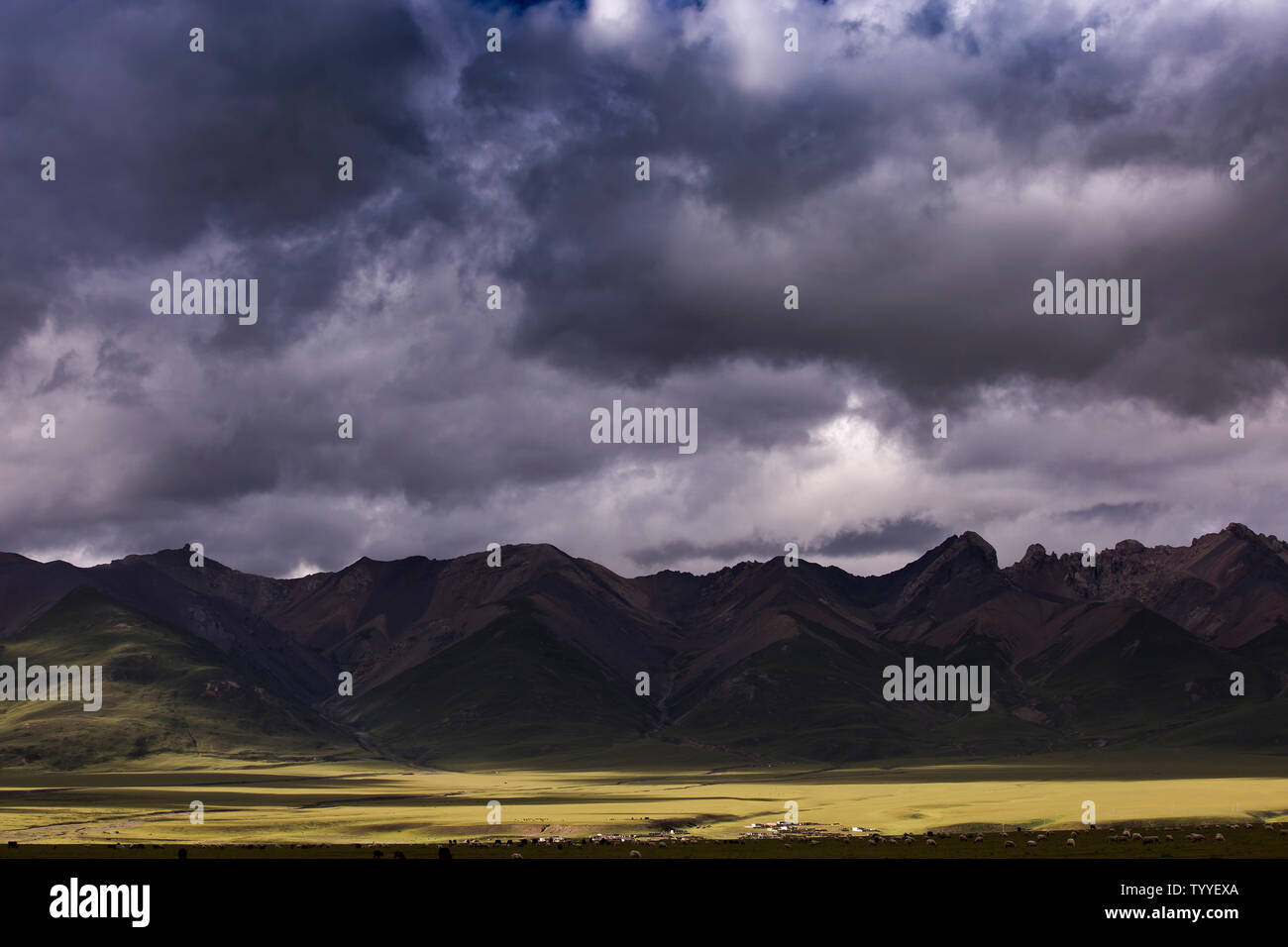 Lulang town, Yingzhi City, Tibet Autonomous Region Stock Photo - Alamy