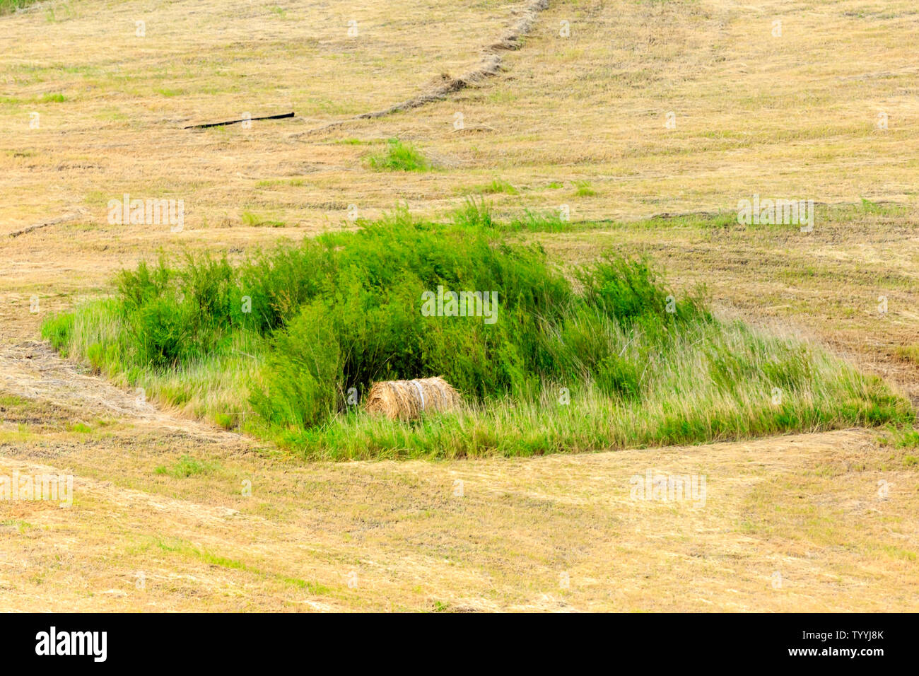 Haystack China High Resolution Stock Photography and Images - Alamy