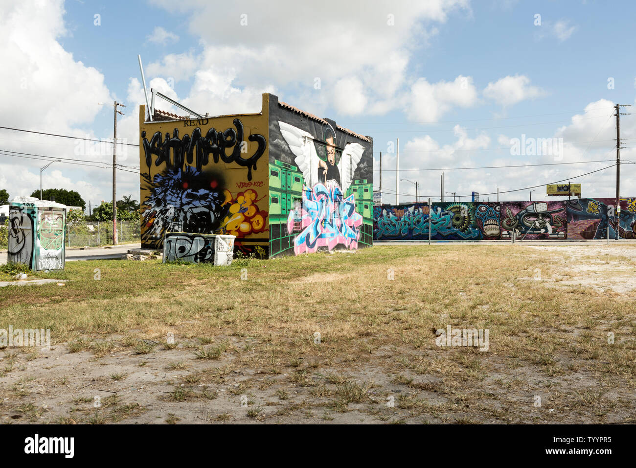 Street Art on the walls of commercial buildings in a run down area of ...