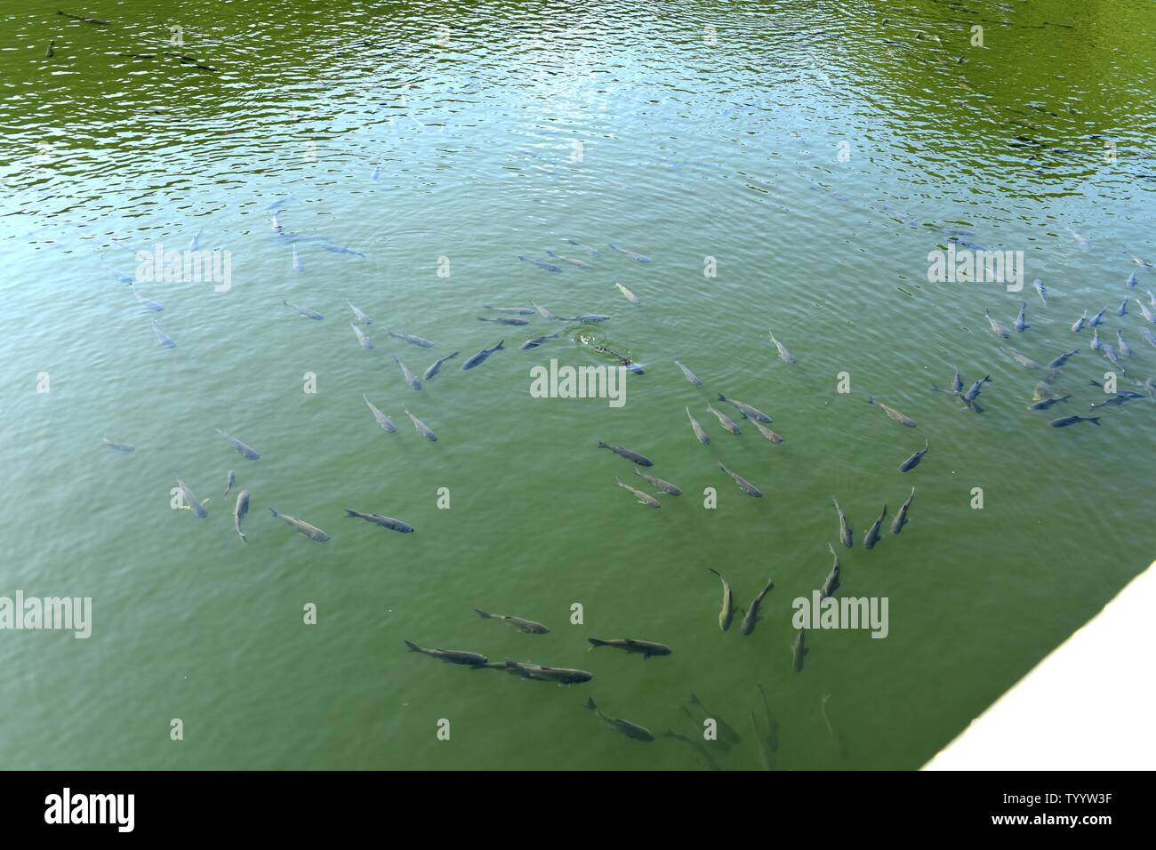 Dam mural painting hi-res stock photography and images - Alamy