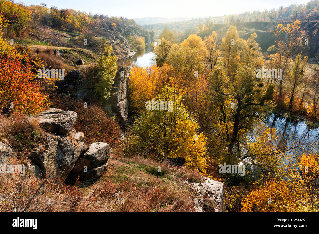 Warm colored trees hi-res stock photography and images - Alamy