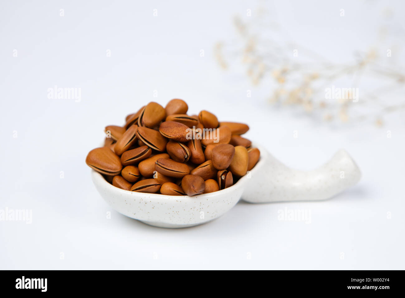 Open pine nuts Stock Photo - Alamy