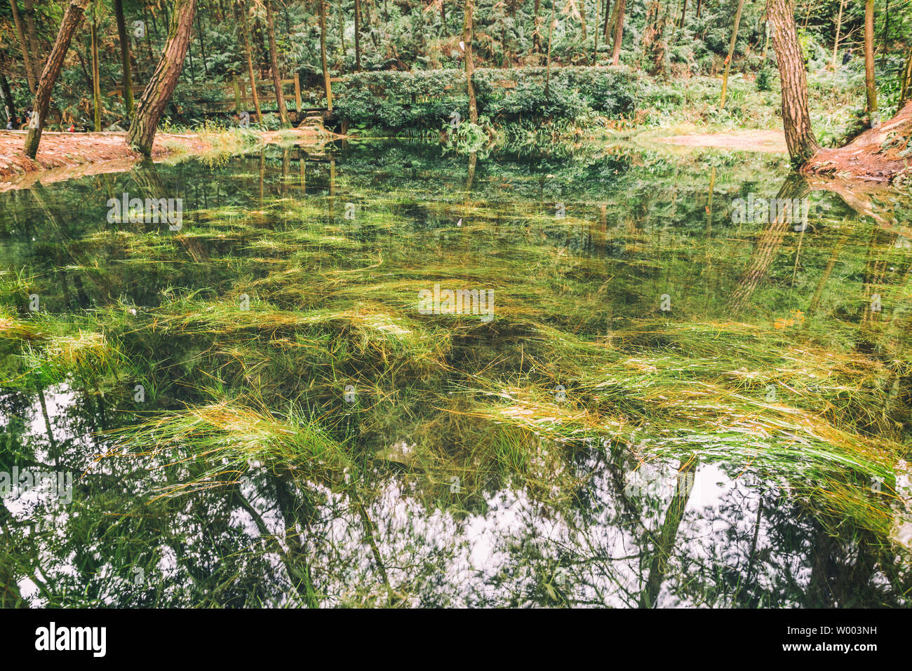 Scenery of Jiufeng Yaochi, Jiufengshan, Chongqing Stock Photo - Alamy