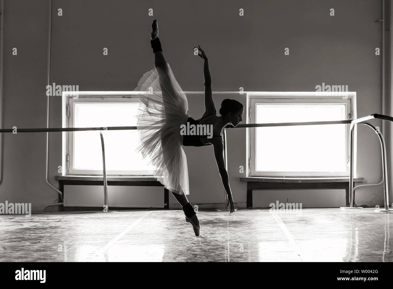 grace and charm of a ballerina's dance in a photo Studio Stock Photo ...