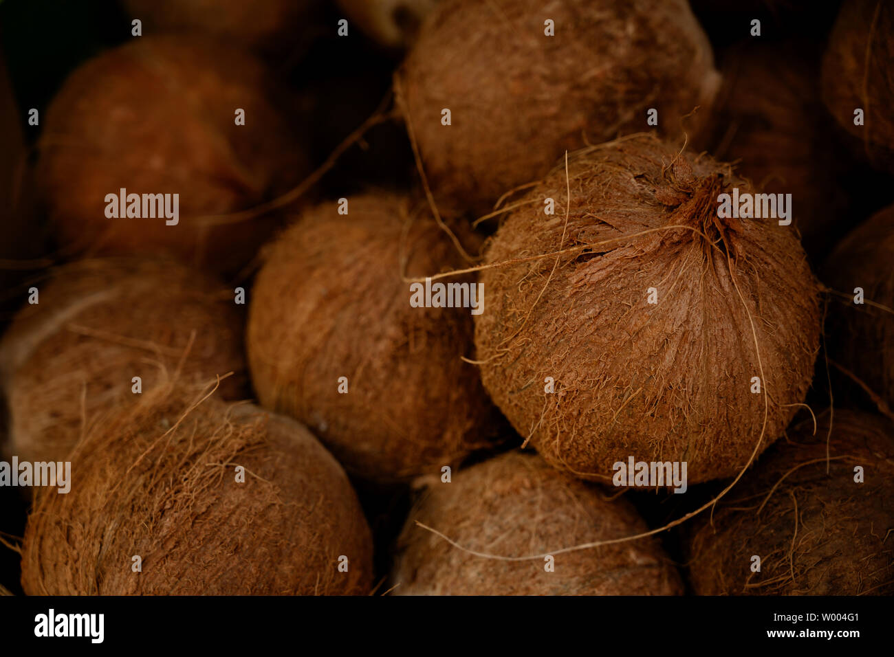 Large Coconut Sits Atop Pile in outdoor market Stock Photo - Alamy