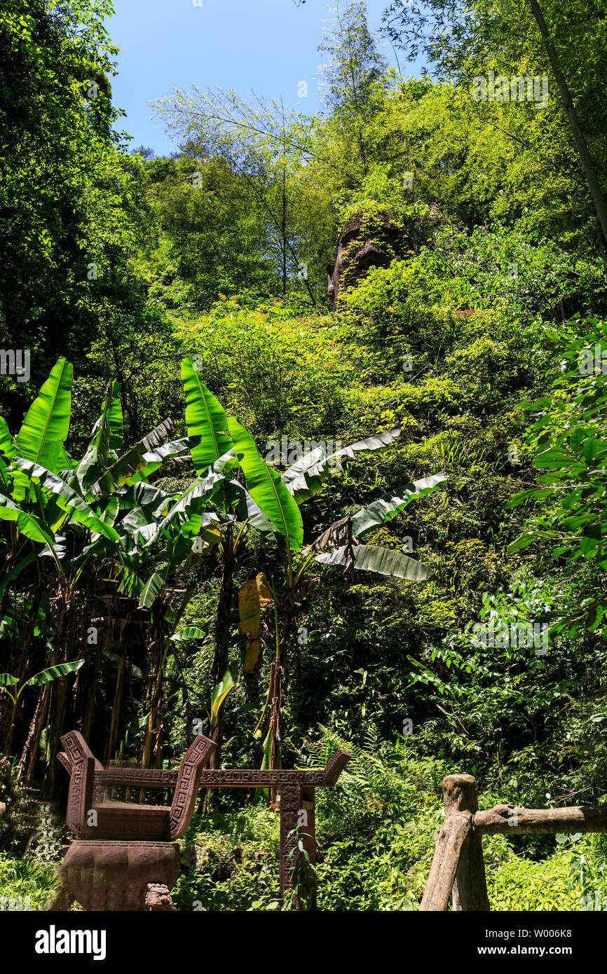 Guilin resources, Tianmen Mountain, bamboo forest, shanzhai, creek ...