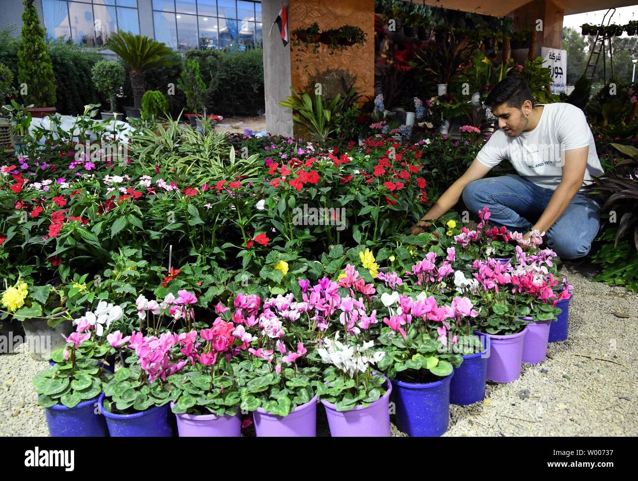 Tishreen park hi-res stock photography and images - Alamy