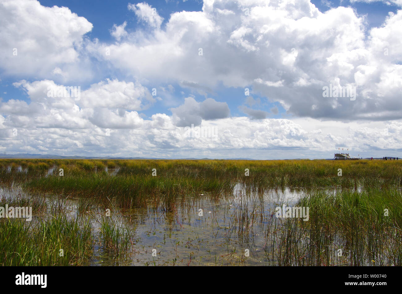 Hua aba prefecture hi-res stock photography and images - Alamy