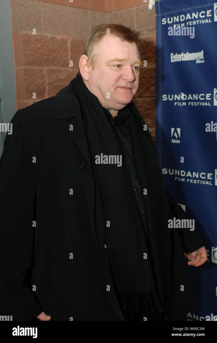 Actor Brendan Gleeson attends the premiere of his film "In Bruges" at ...