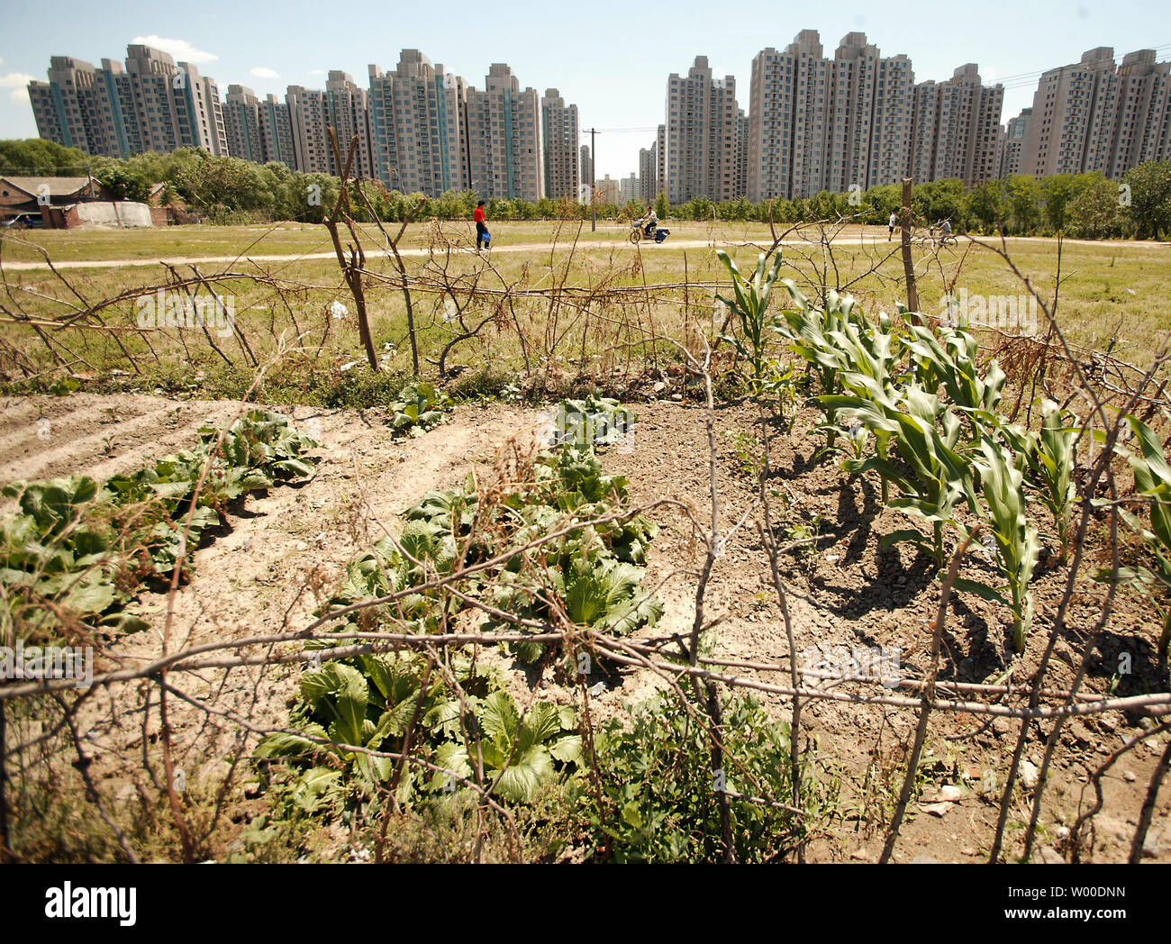 People pass a small garden in a poor housing area, next to a new ...