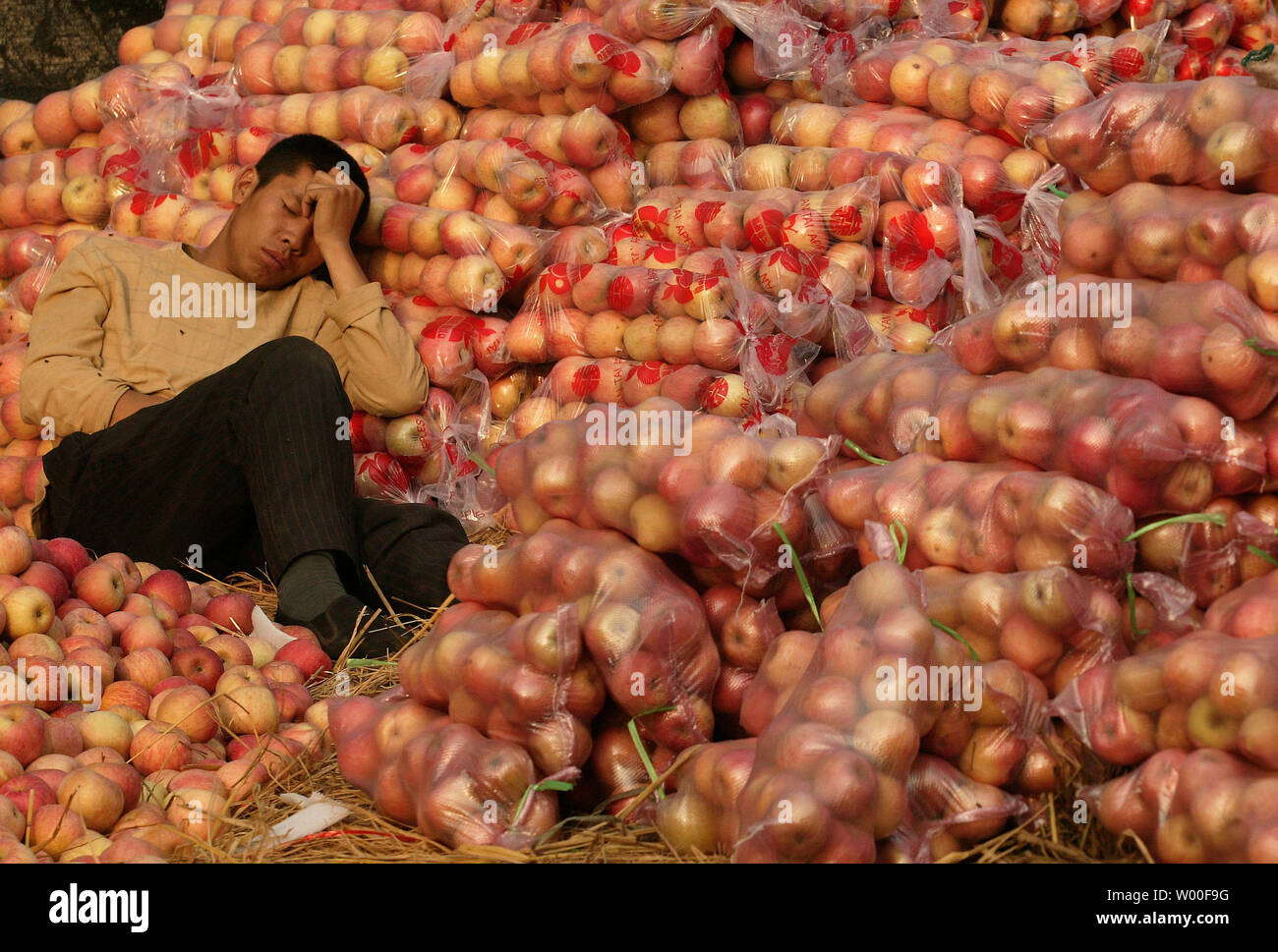 Released in the year 2006 hi-res stock photography and images - Alamy