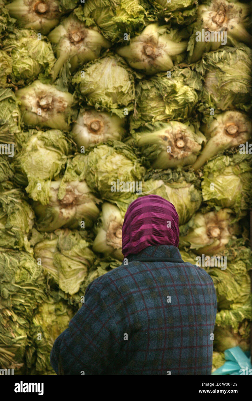 Turbo Fast Breakneck