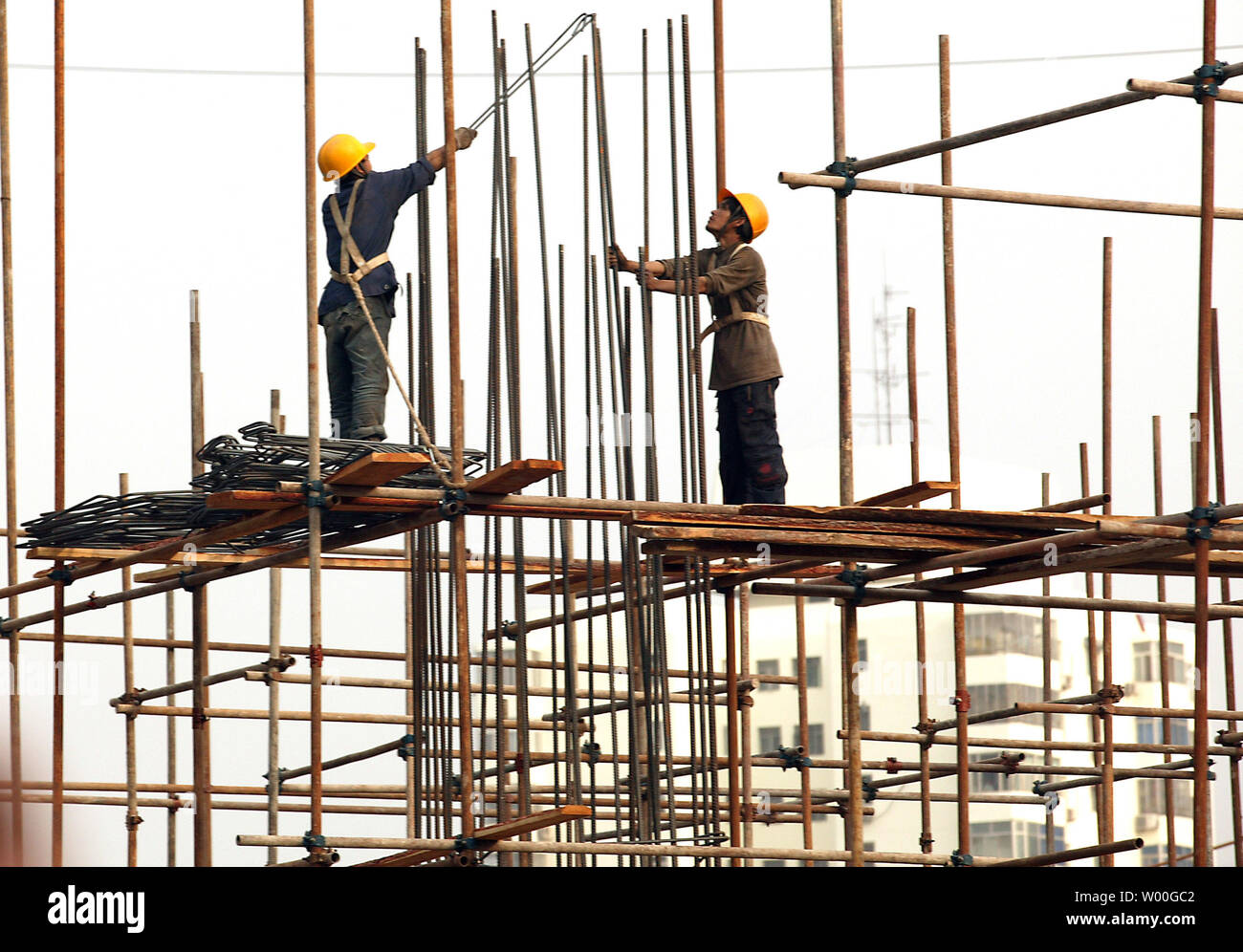 Two construction workers assemble iron rebar supports on a commercial ...