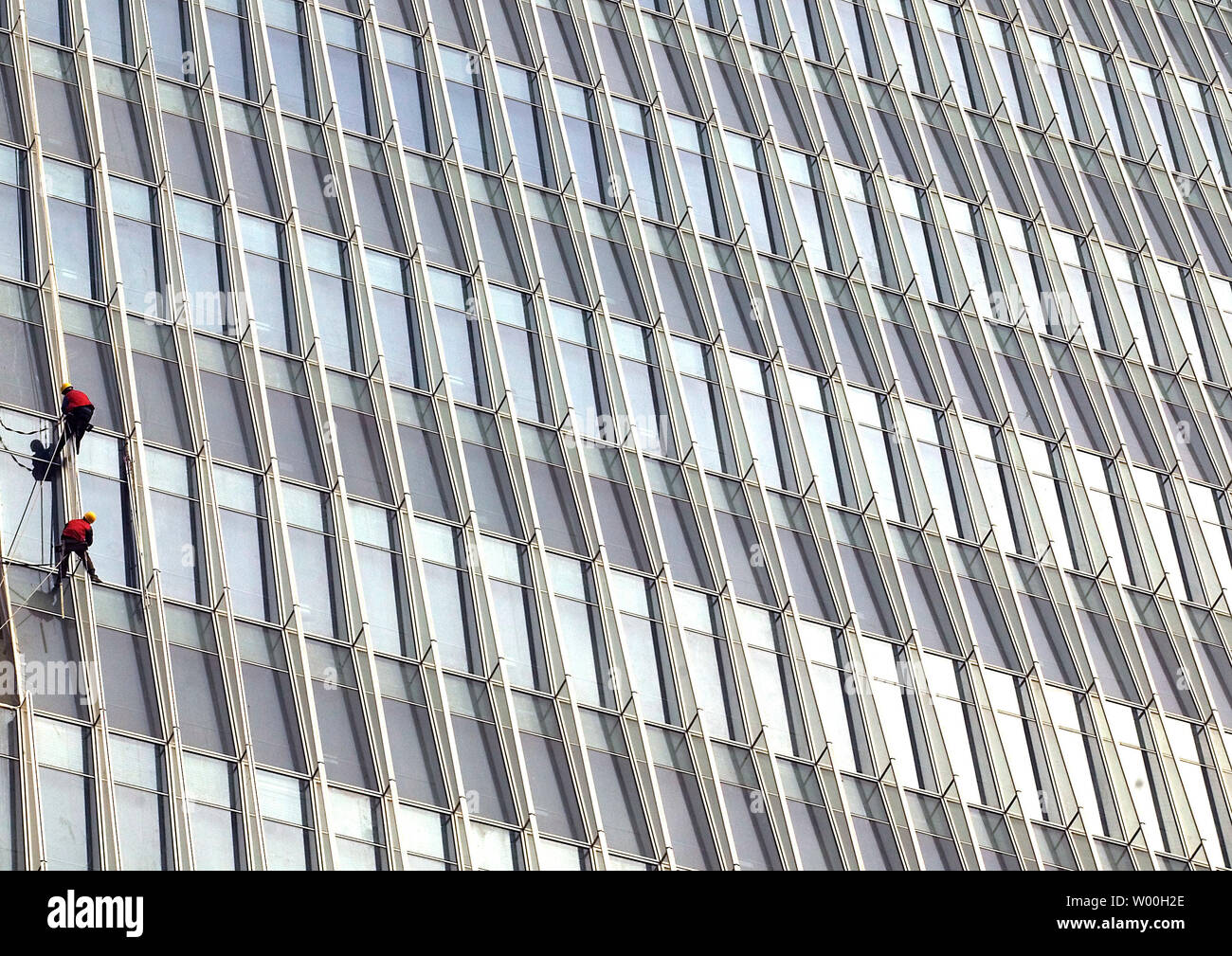 Chinese workers dangle on rope chairs as they attach light tubes to the ...